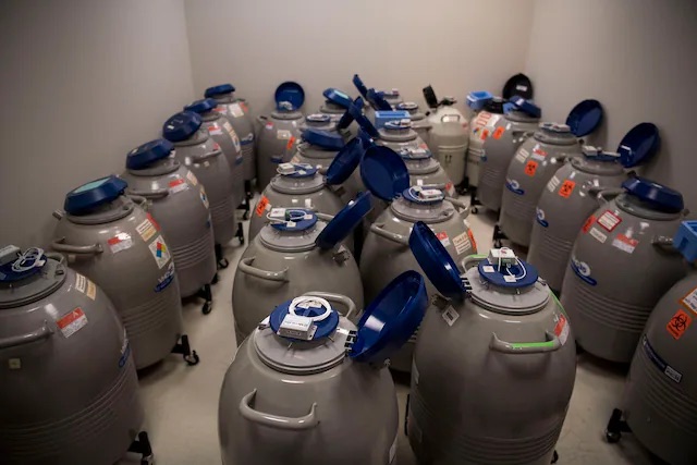 These Tanks Are Storing Tens of Thousands of Frozen Embryos | Diane ...